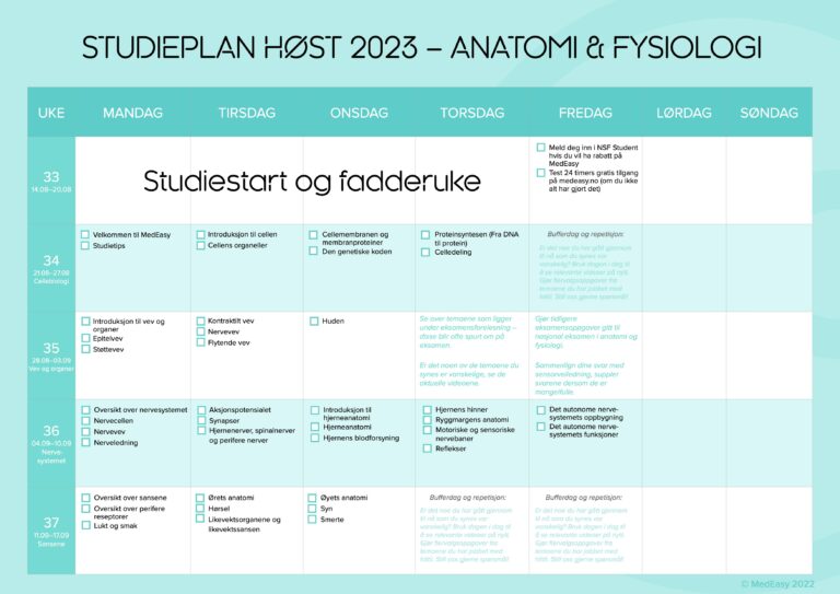 Lag en studieplan i dag!