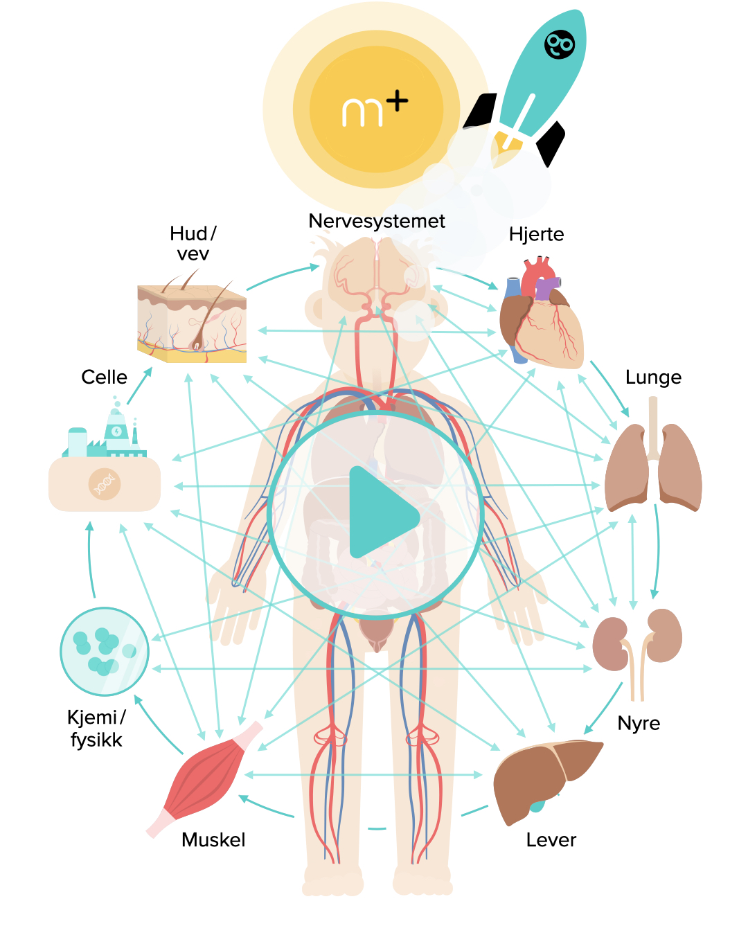 Har du gått på en smell i nervesystemet?